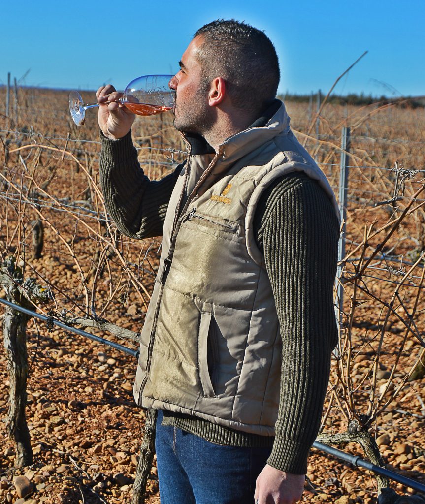 ¿Cómo es el proceso de fermentación en los vinos? - Blog Matarromera