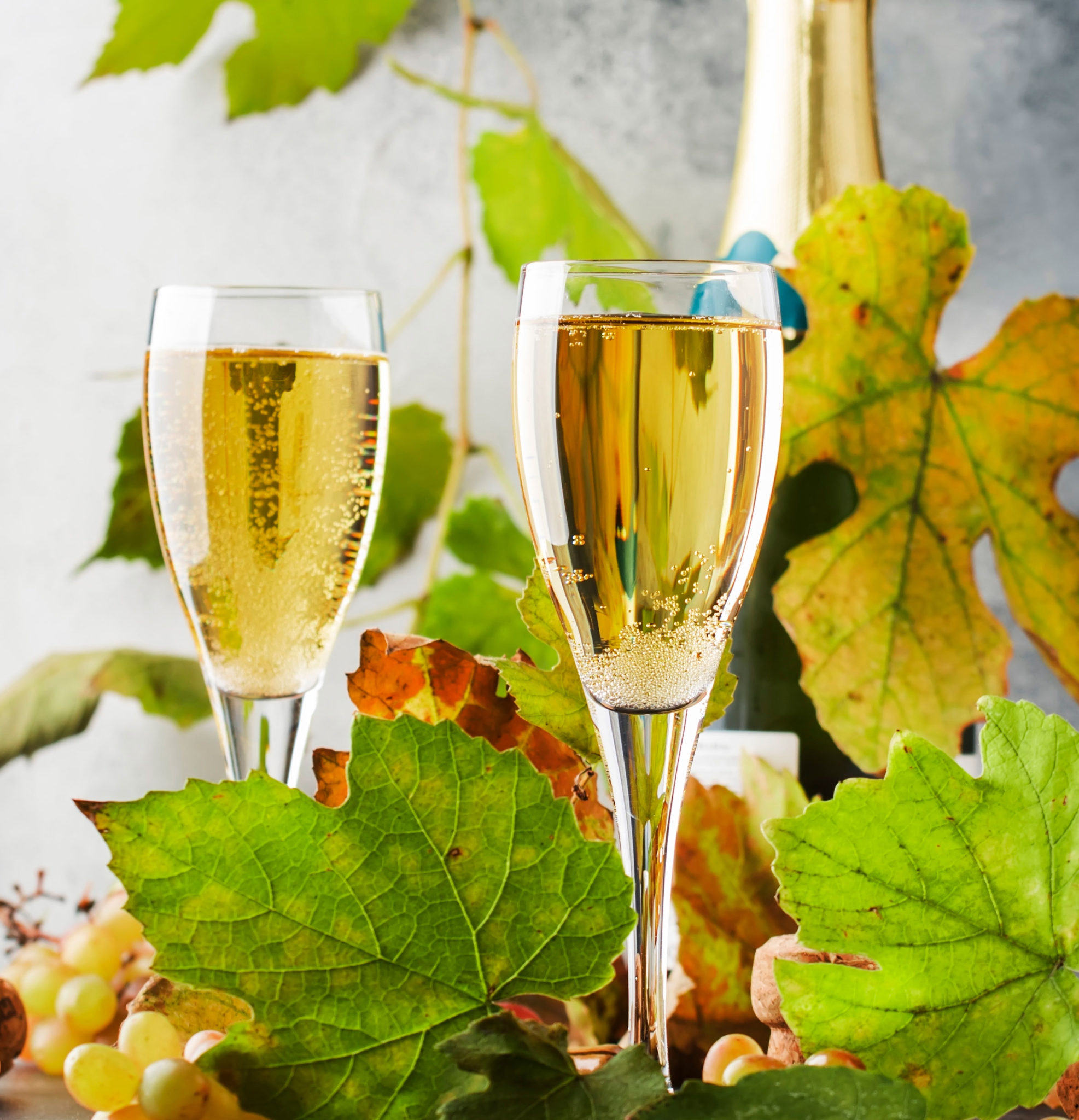 La copa perfecta para cada vino - Blog Matarromera