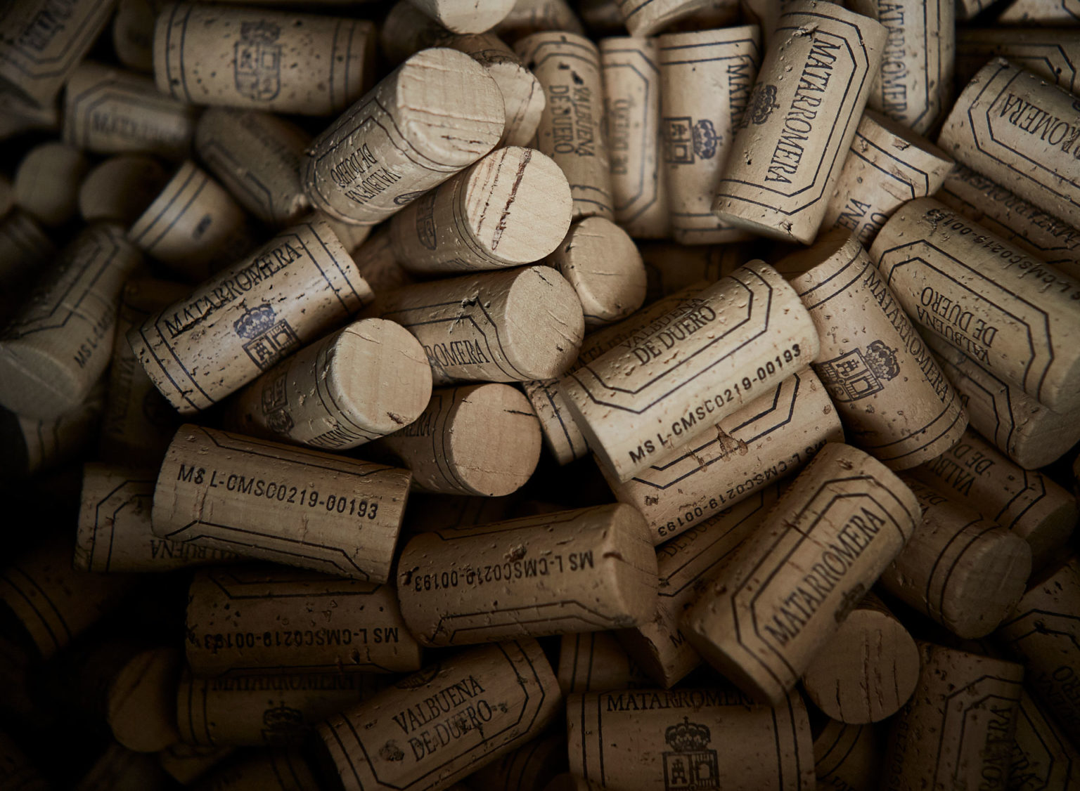 Cinco claves para conservar el vino en casa - Blog Matarromera Cinco claves para conservar el vino en casa - Blog Matarromera