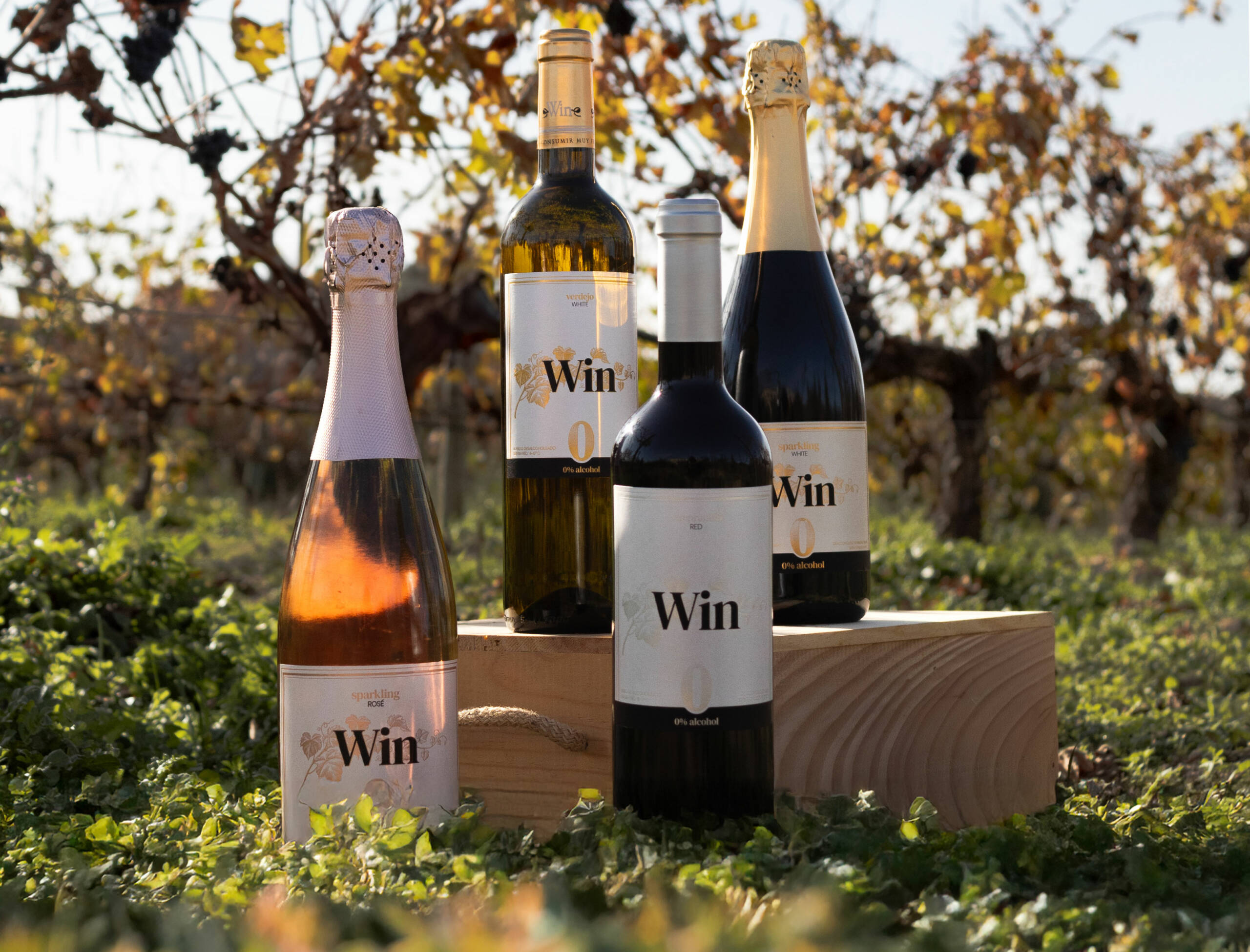 Dos Win Sin Alcohol para disfrutar libremente del verano - Blog Matarromera